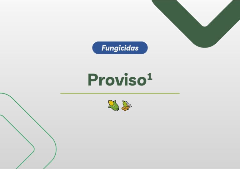 Mancozeb CCAB 750 WG – CCAB Agro